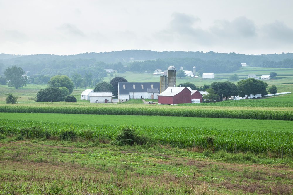 Mental health in the Pennsylvania Farm Show spotlight as feds abruptly ...