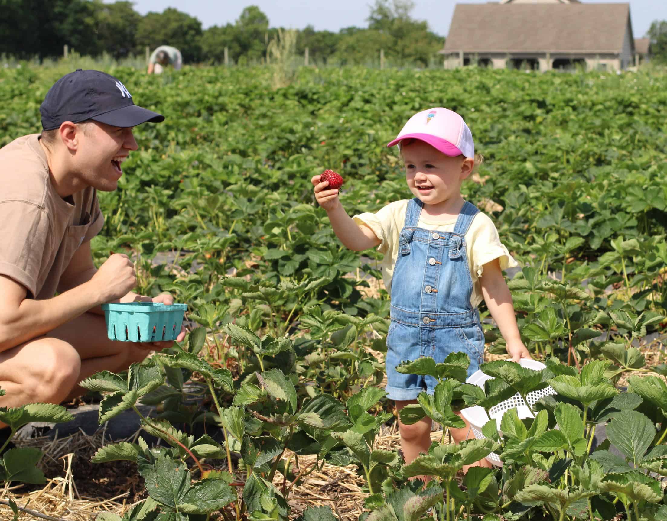 Your 2026 guide to berry picking in Pennsylvania: When & where to find ...